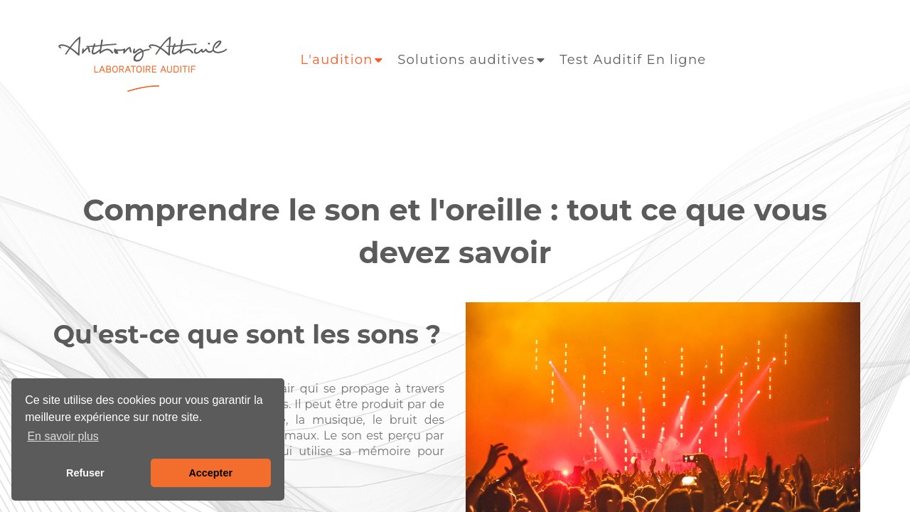 Les Sons et l'Oreille - Tout savoir sur la perception et l'analyse des sons